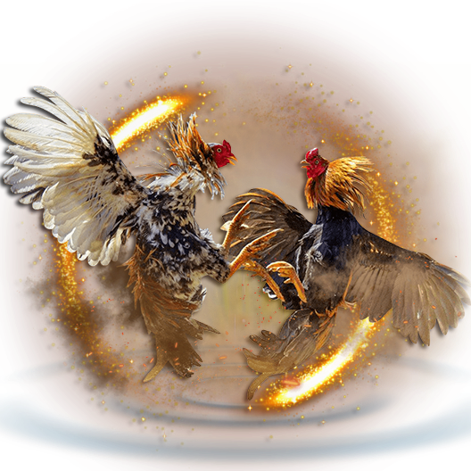 AGEN LIVE SABUNG AYAM RESMI ® | Facebook | Linktree