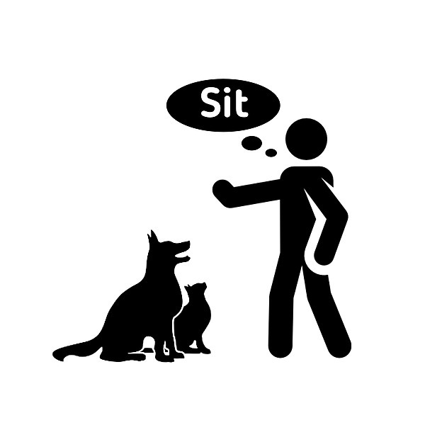 TeachYourPet | Linktree