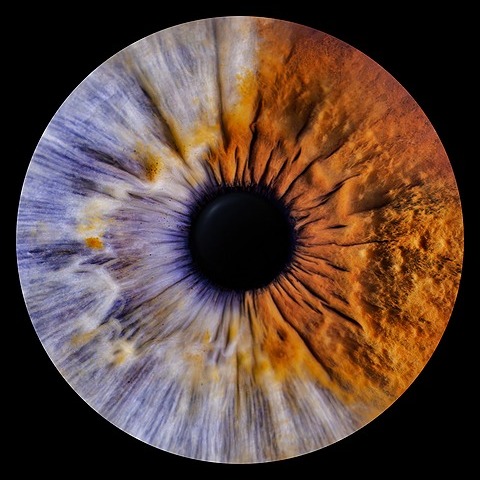 eyeris.studios | Instagram, TikTok | Linktree