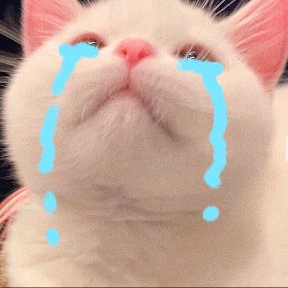 @Sad_catto_hours | Linktree