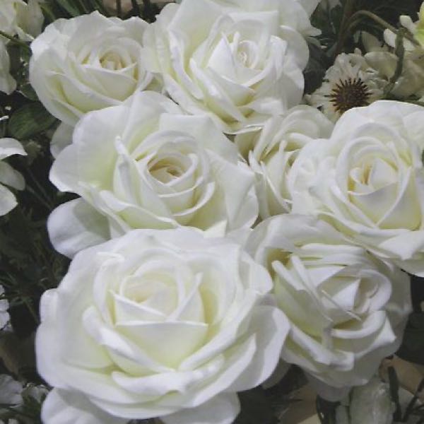 @AnnaAlexanian | Linktree