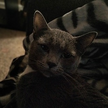 @raffytaffy_ | Linktree