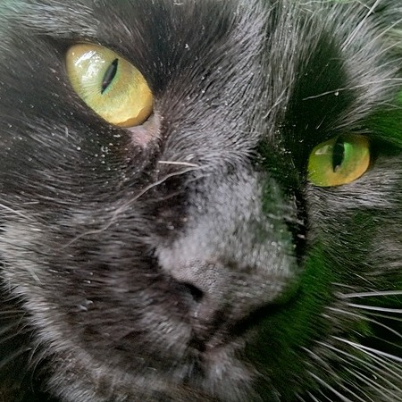 @raffytaffy_ | Linktree