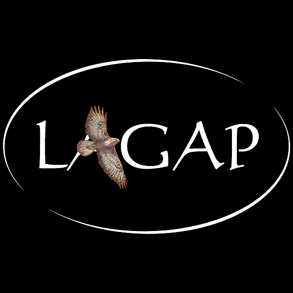 I Social di LAGAP | Instagram, Facebook | Linktree