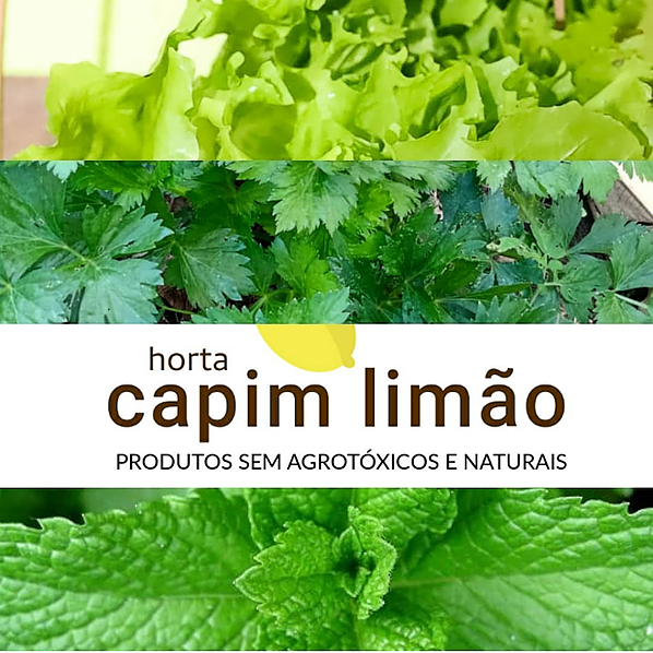 @Capim_Limao | Linktree