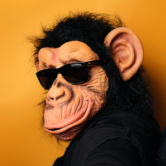 MONKEYZ | Instagram, Facebook | Linktree