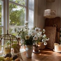 HAMMYBANKS | Instagram, TikTok, Twitch | Linktree