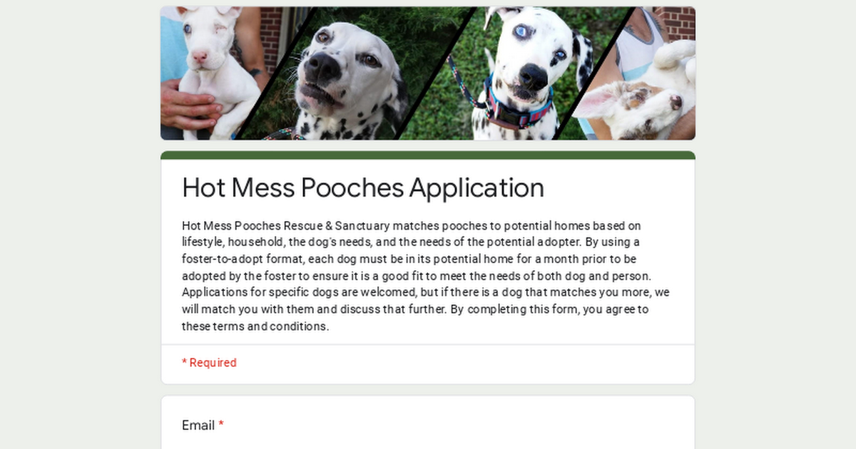 hotmesspooches | Instagram, Facebook, TikTok | Linktree