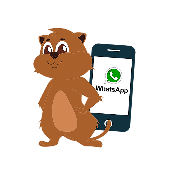 Ajeeb Stores | Instagram, TikTok | Linktree