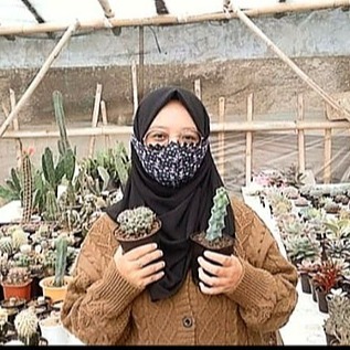 Alula kaktus | Instagram, TikTok | Linktree