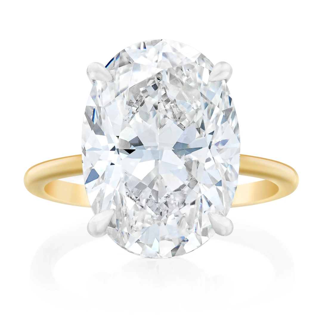 RING CONCIERGE | Linktree