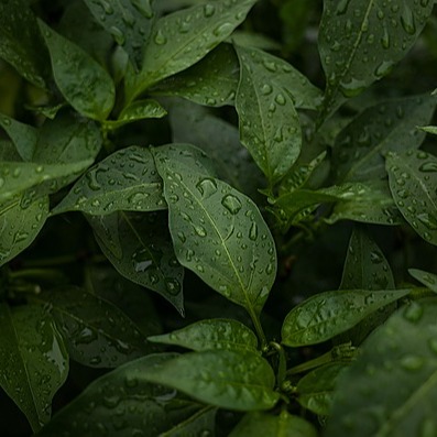 enjoy.the.moment.art | Instagram, TikTok | Linktree