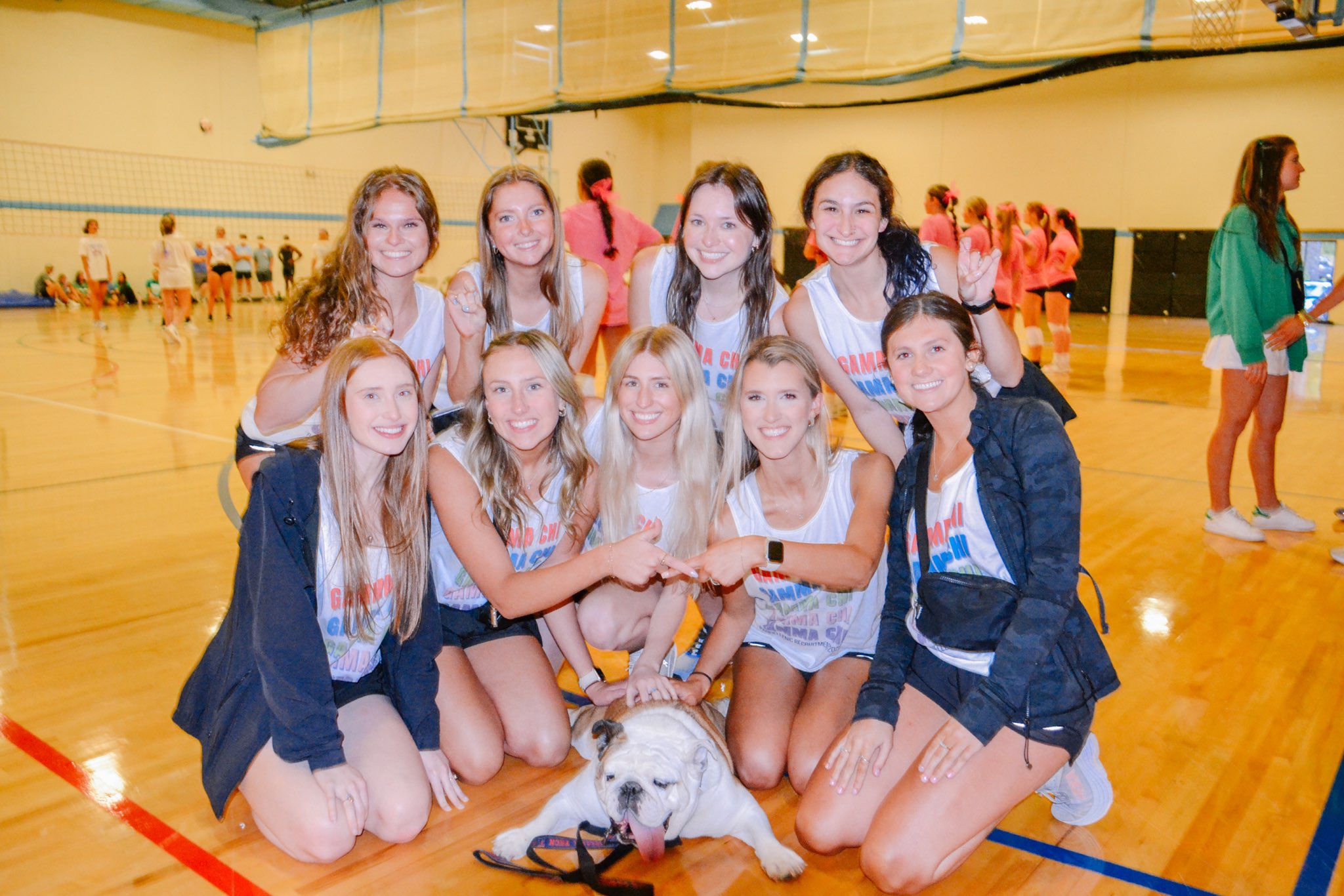 Louisiana Tech Panhellenic | TikTok | Linktree