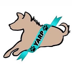 YARP association | TikTok | Linktree