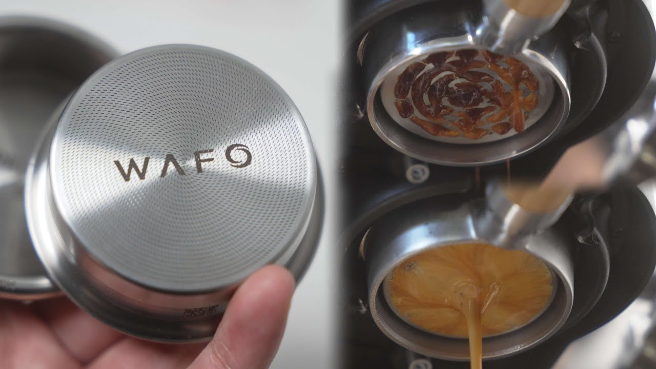 WAFO | Twitter, Instagram, Facebook | Linktree