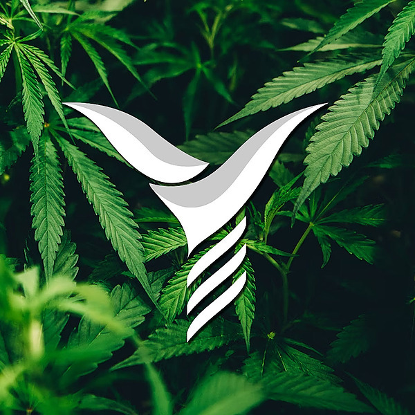 Ygeia Essential Labs | Linktree