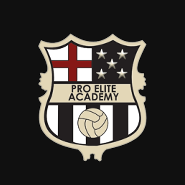 Pro Elite Coaching Academy | Linktree