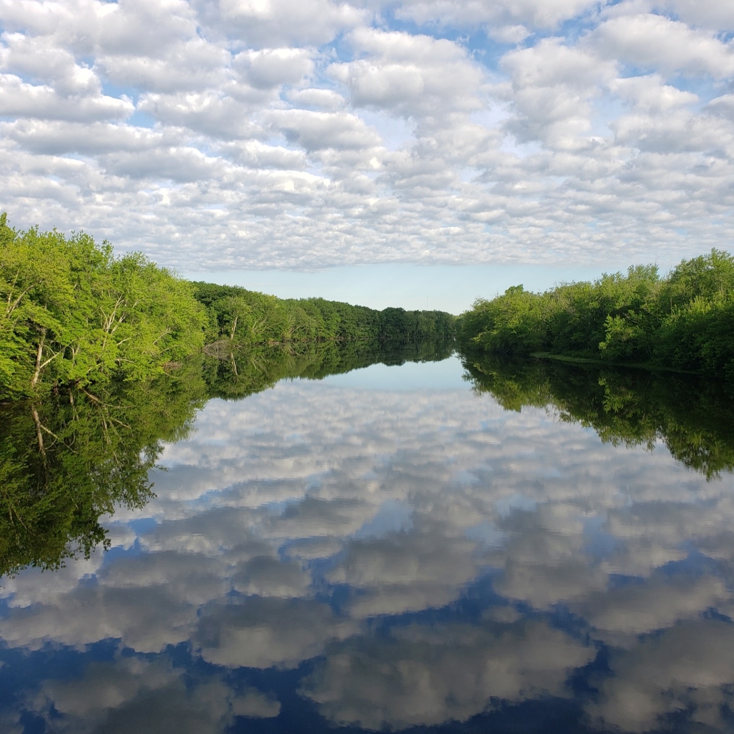 Metta Movement Universe | Linktree