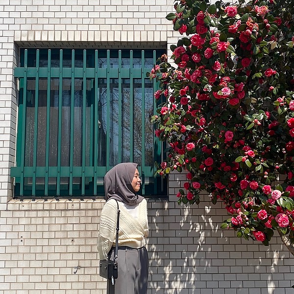 Rihel | YouTube, TikTok | Linktree