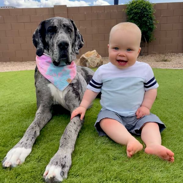 The Oakie Dokie Instagram Facebook Tiktok Linktree