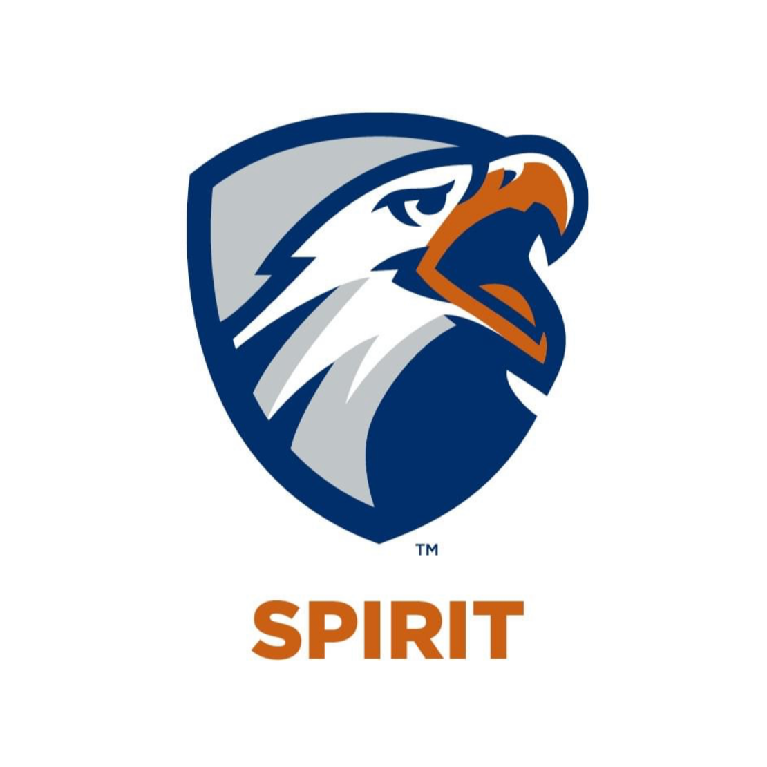UT Tyler Spirit Squad | Instagram | Linktree