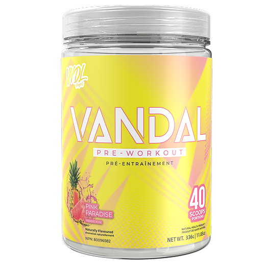 VNDL Project | Linktree