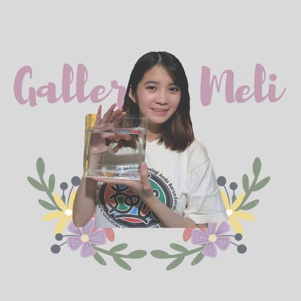Selamat datang di Gallery Meli | Instagram | Linktree