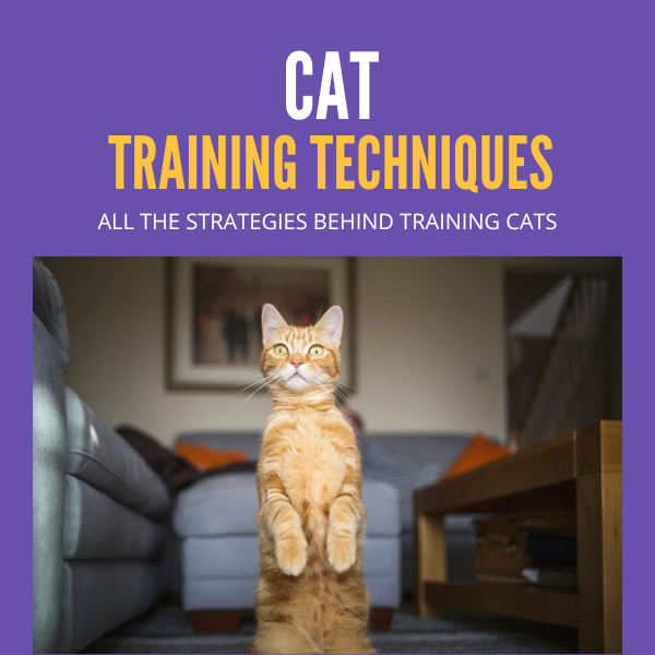 E-books petz training | Linktree