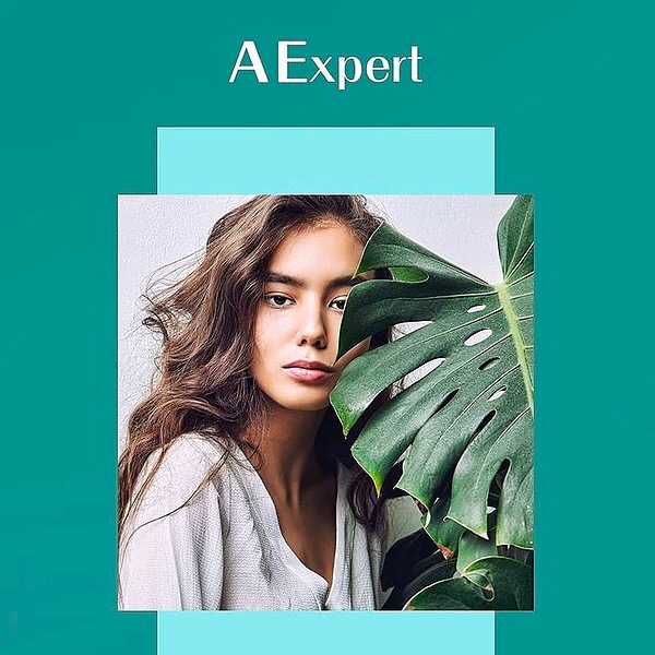 AEXPERT YOGYA | Linktree