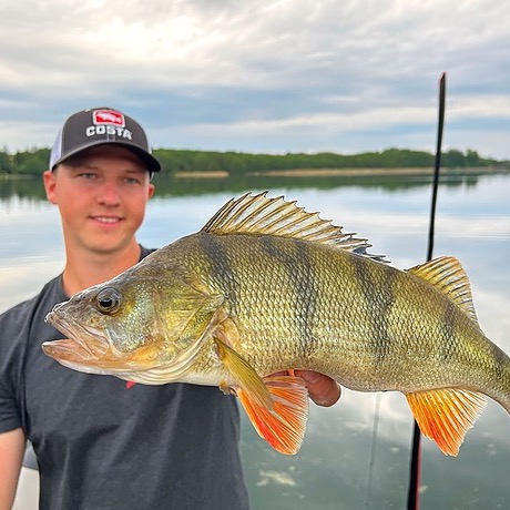 Angeln Maximal - Listen on YouTube, Spotify - Linktree