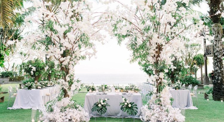 @wedboard | Linktree