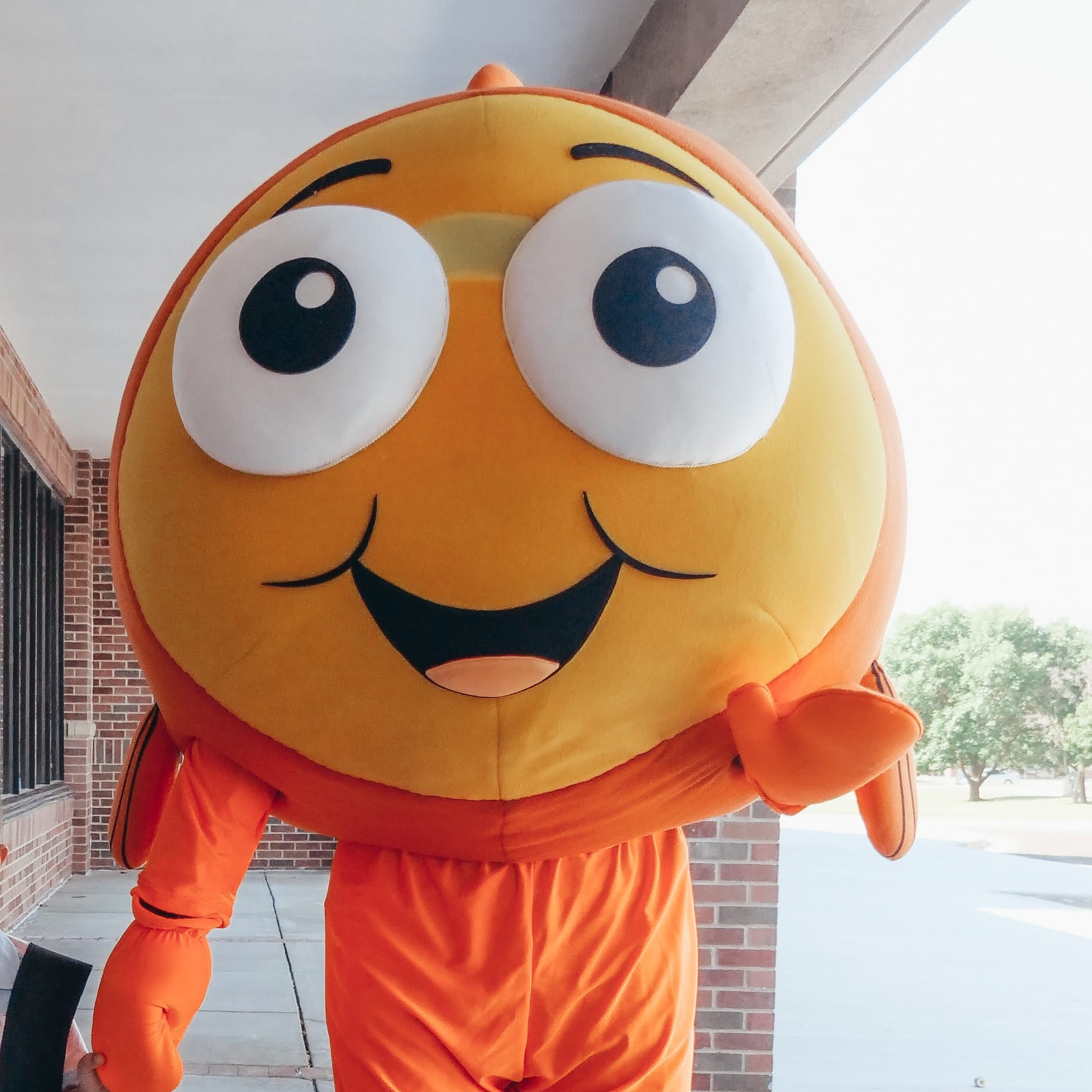 gfkc | Facebook | Linktree