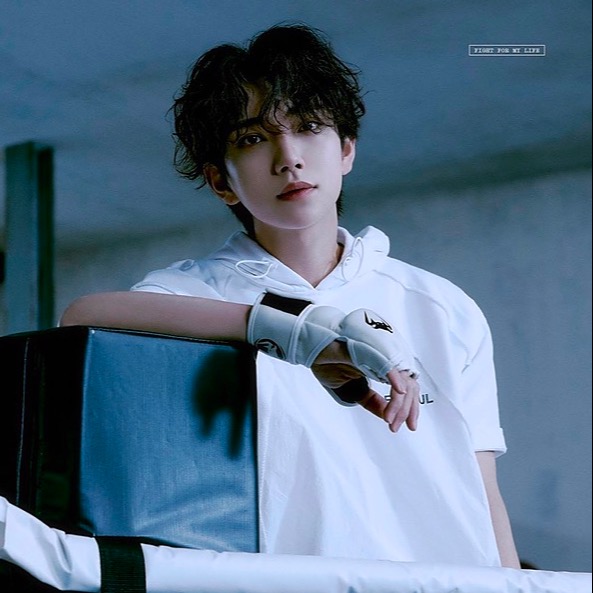 SVT Joshua Promo | Twitter, Instagram | Linktree