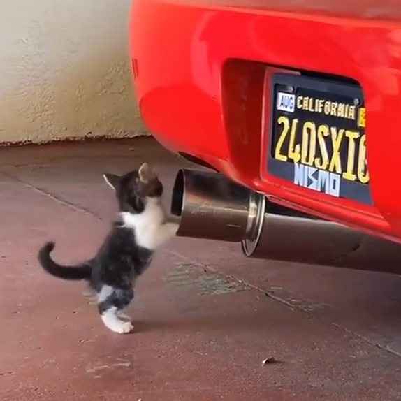 rooski | Twitter, TikTok, Twitch | Linktree