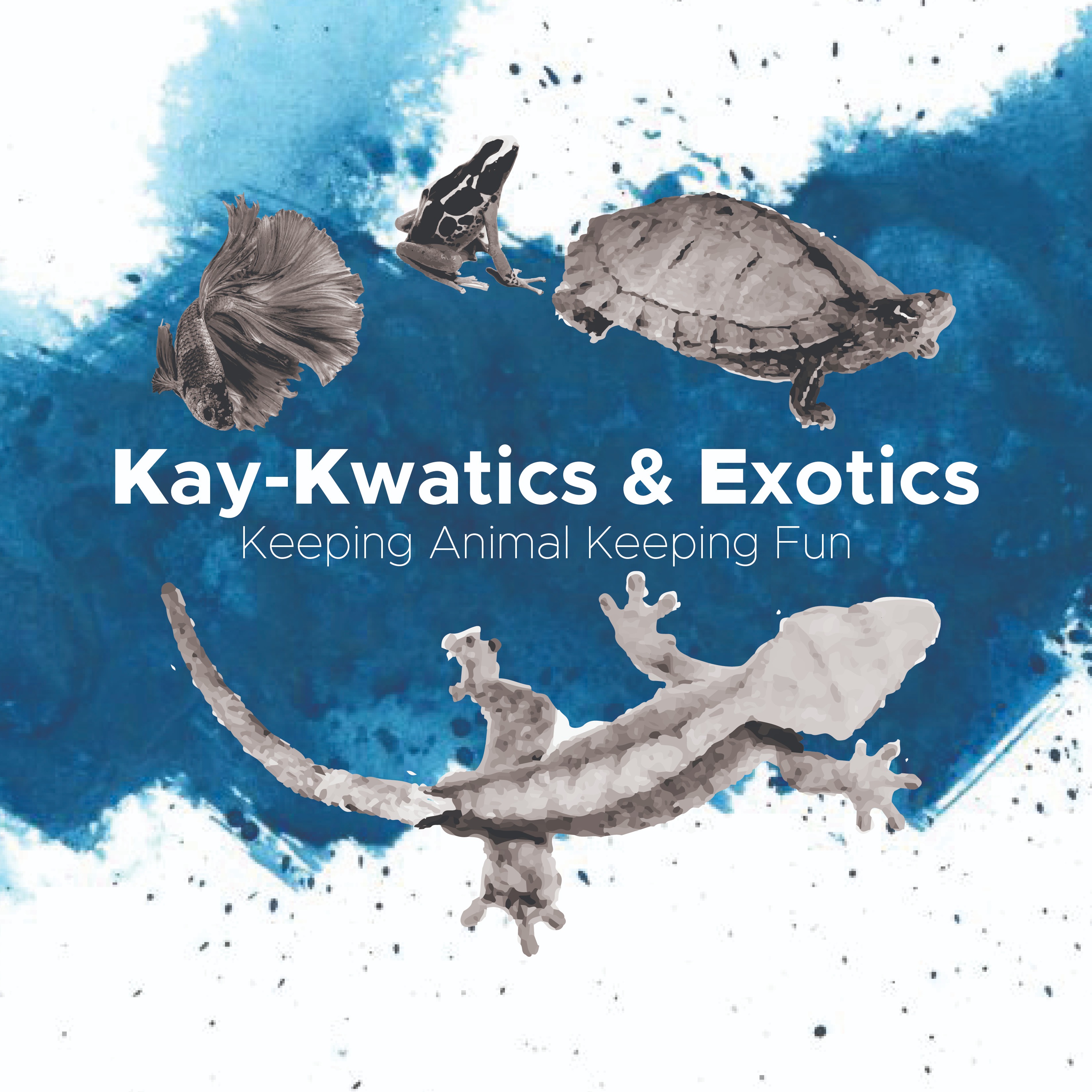 kaykwaticsnexotics | Instagram, TikTok | Linktree