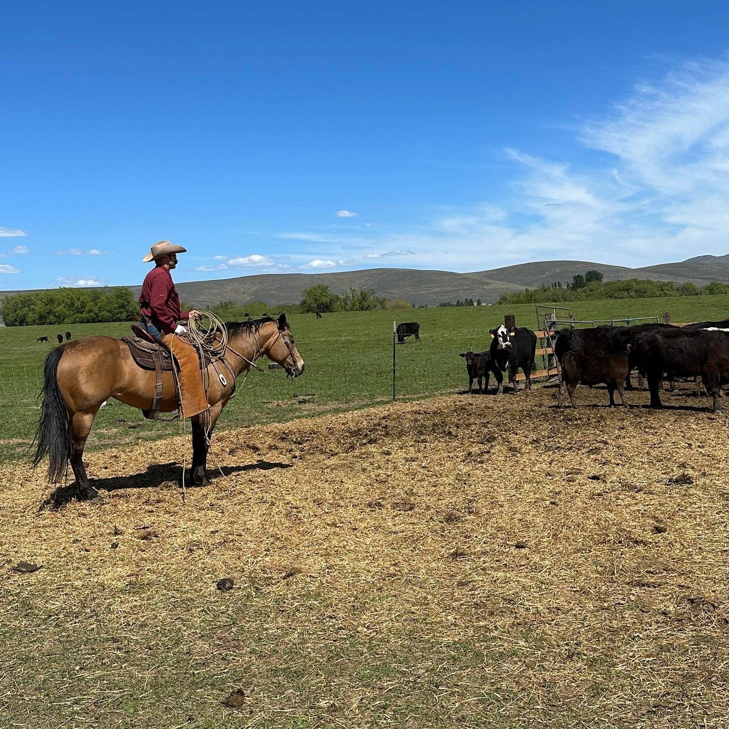 stacheranch | Instagram, Facebook, TikTok | Linktree