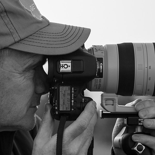 Montana Photography | Landscape Photography | Wildlife Photography ...