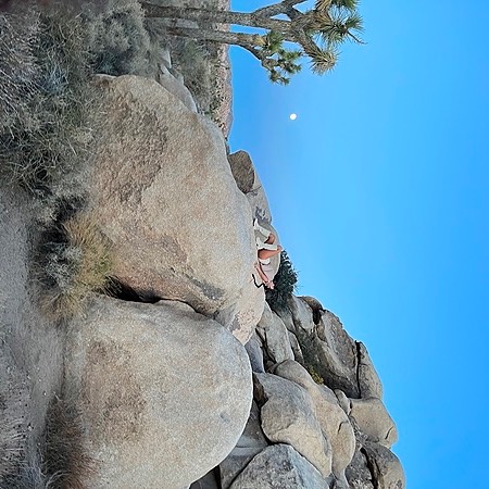 Audrie Powell - Find Audrie Powell Onlyfans - Linktree