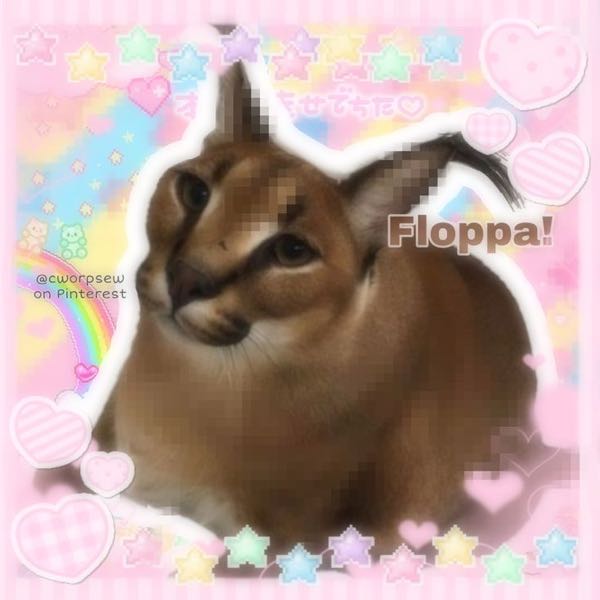 cat! | Twitter, Instagram | Linktree