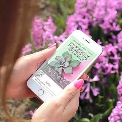 Jardim Colorido Suculentas | Linktree