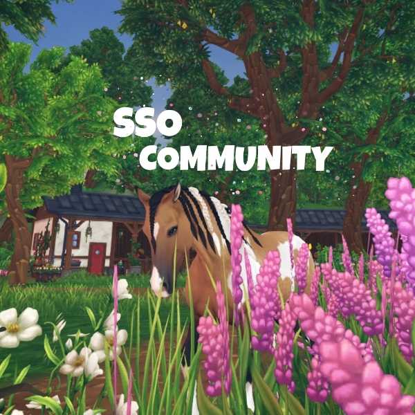 SSO COMMUNITY | Linktree