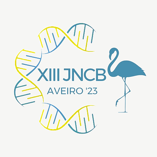 @xiii_jncb | Linktree