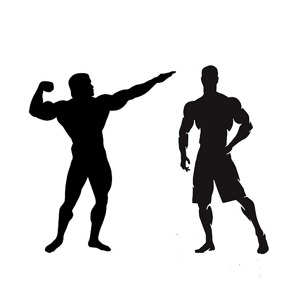 PHYSIQUE UPDATE | Linktree