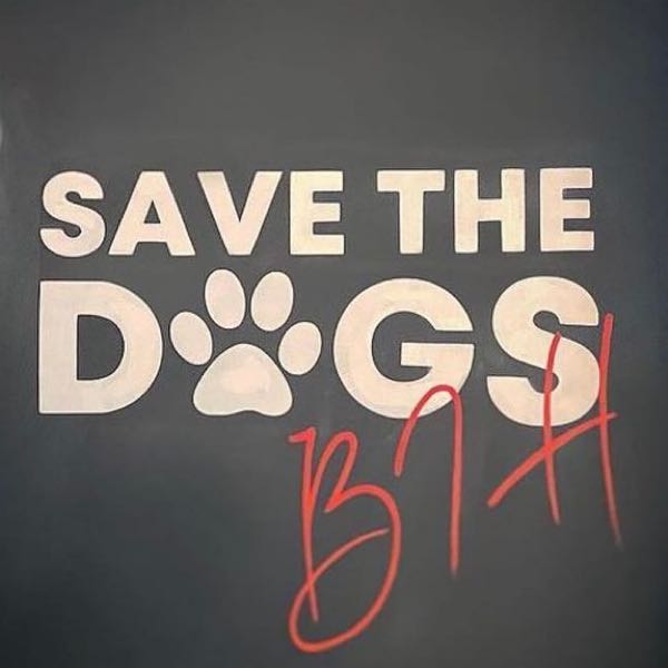 Save the dogs BiH | TikTok | Linktree