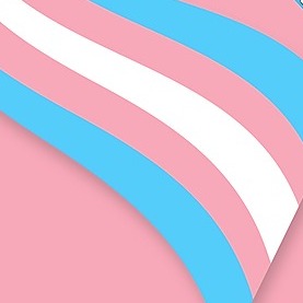 @transform.jm | Linktree