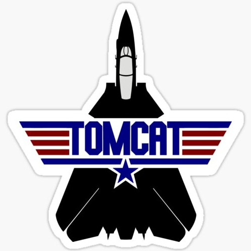 Grumman F-14 Tomcat | Twitter, Instagram, Facebook | Linktree