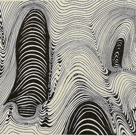 Cos Sylvan | Instagram | Linktree