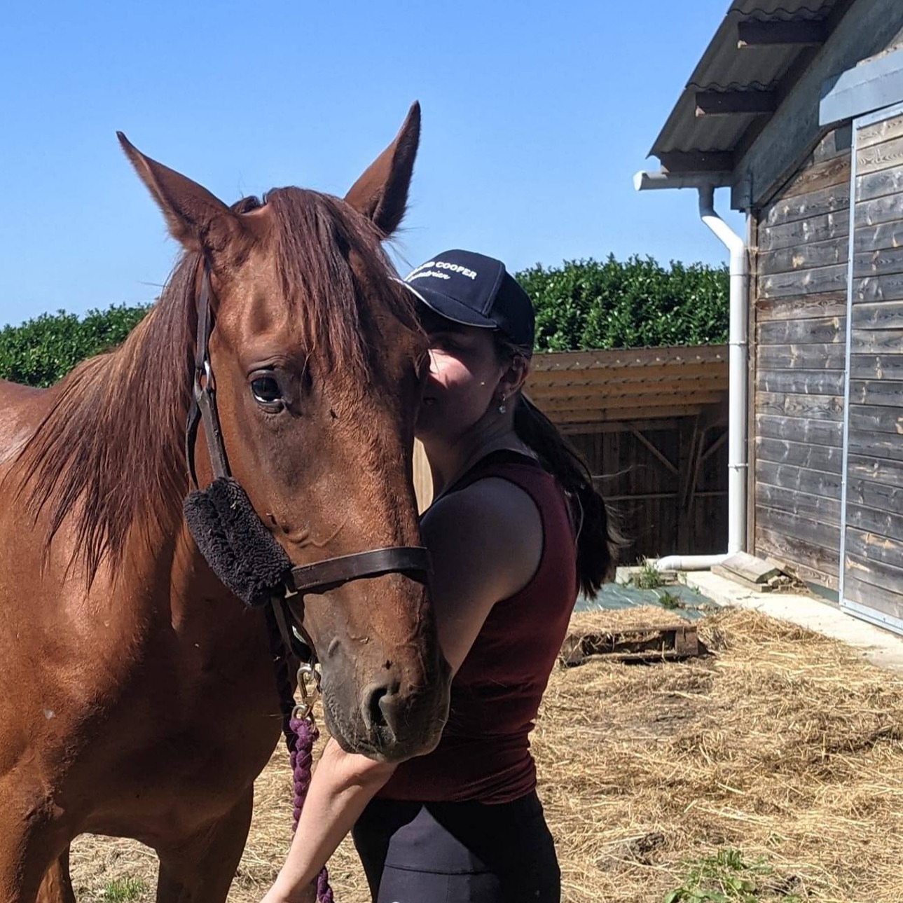 Molly's Links | Linktree