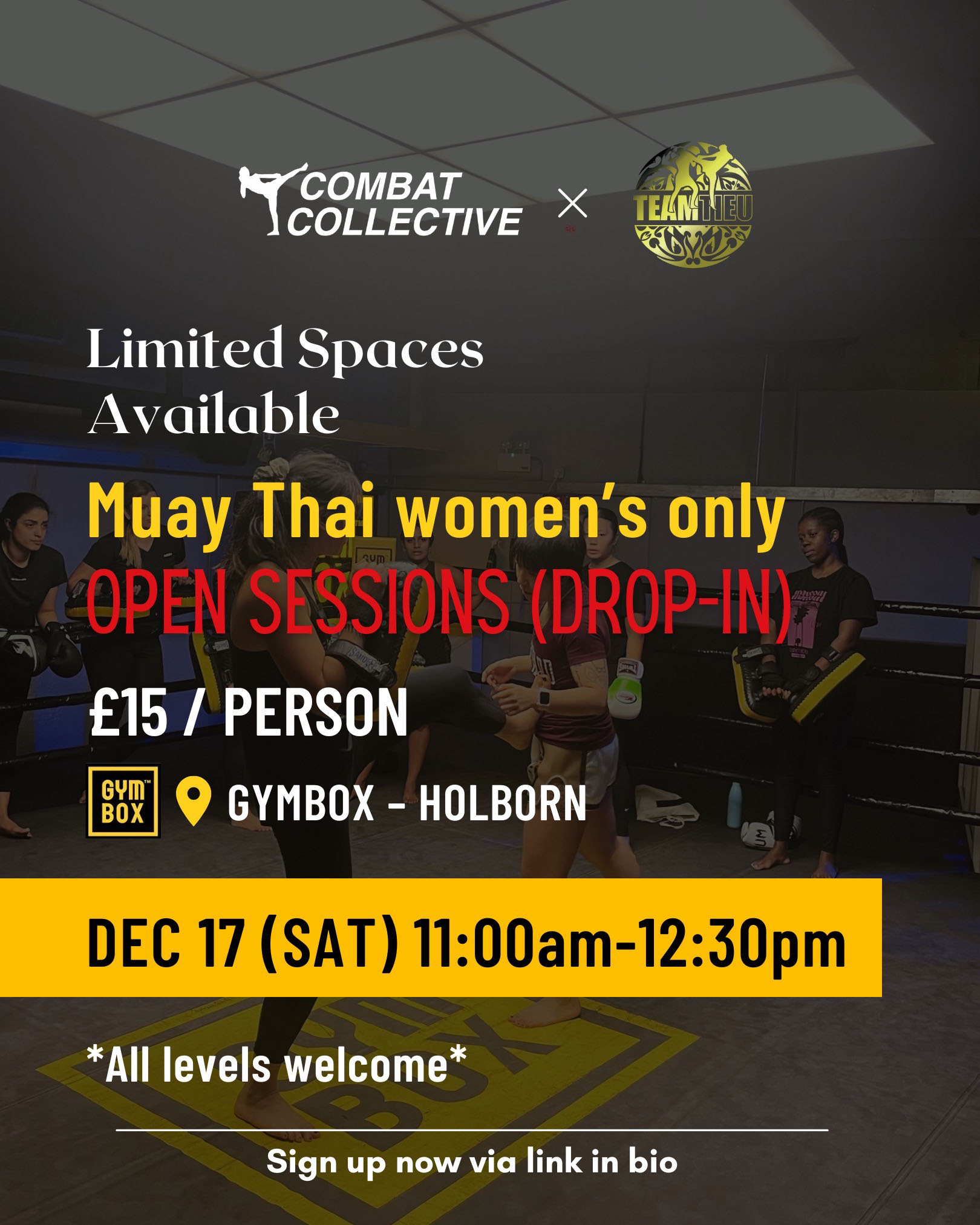 @teamtieuofficial_ | Linktree