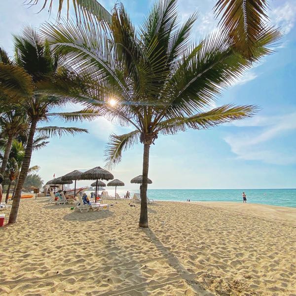 Don Host | Instagram | Linktree